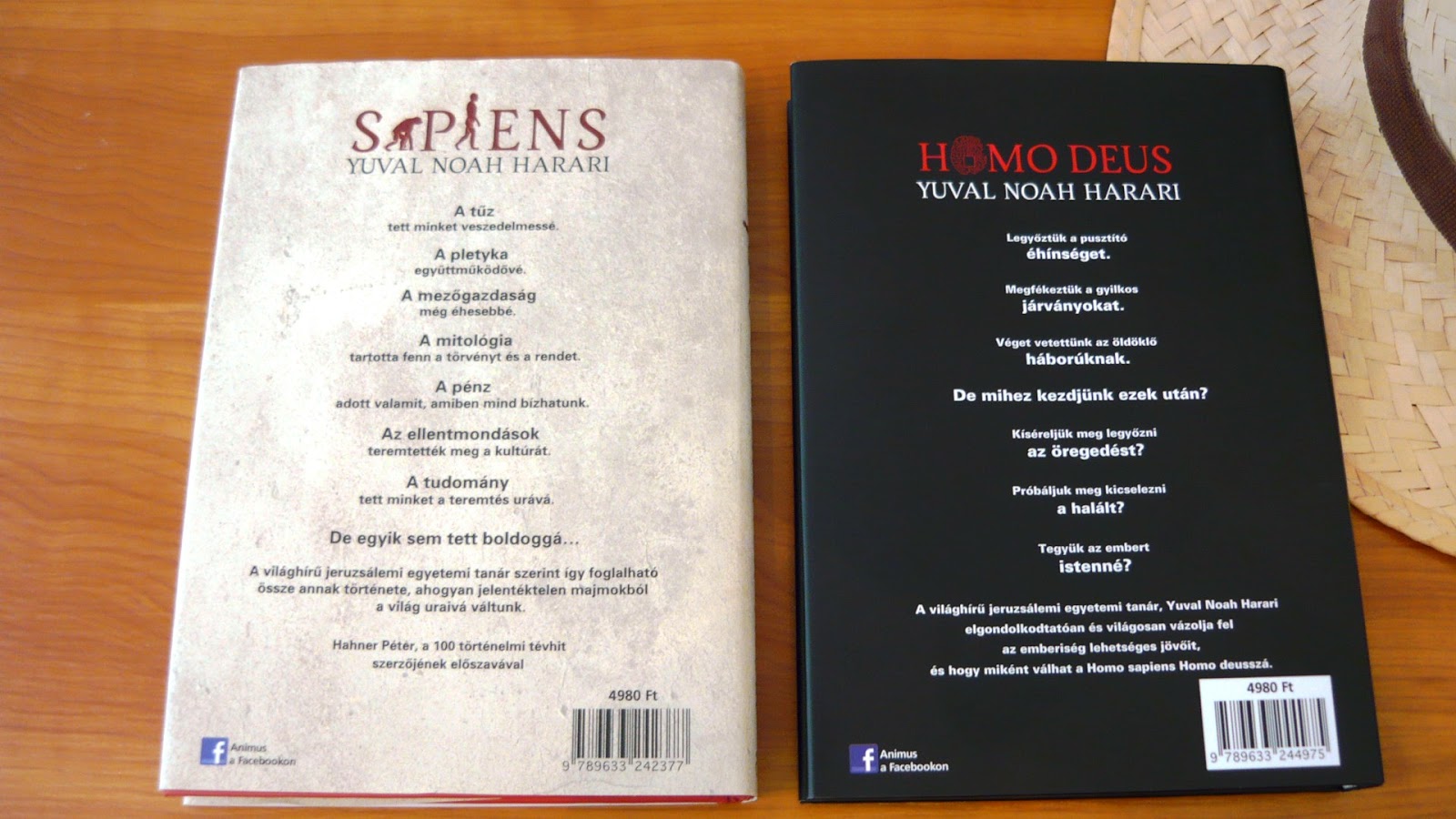 MEDITÁCIÓ - a kolostor udvarán: Yuval Noah Harari