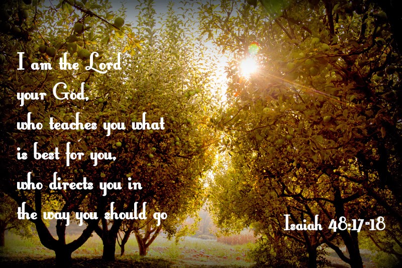 The Lord directs you in the way you should go