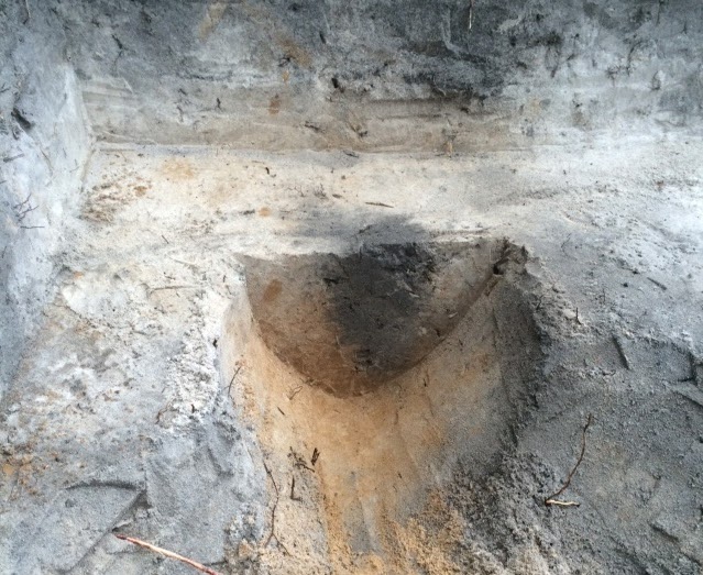 Field Notes: Garden Patch Site- The Land of Pits and Post Holes