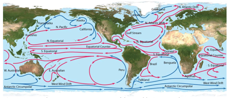 Cold And Warm Water Currents