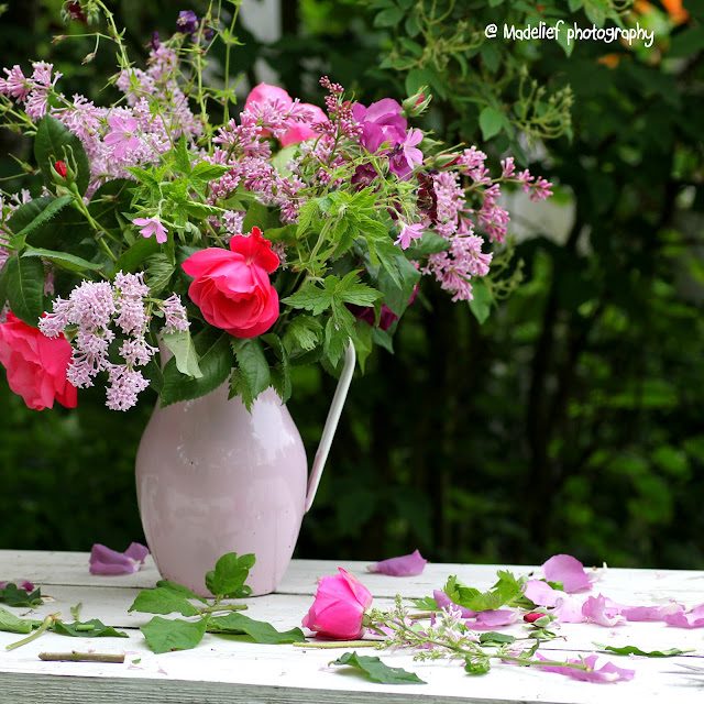 Madelief: Spring idyll