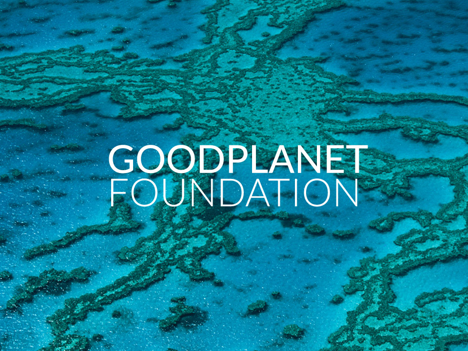 Luz Interior Sanación Planeta