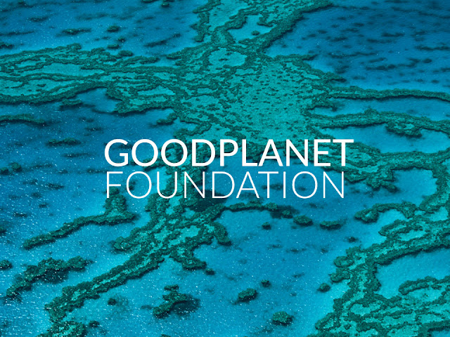 Luz Interior Sanación Planeta: Fundación Good Planet