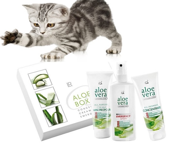 LR Healty&Beauty System-LR Ürünleri-LR İş Ortaklığı-LR İndirim Fırsatı ...