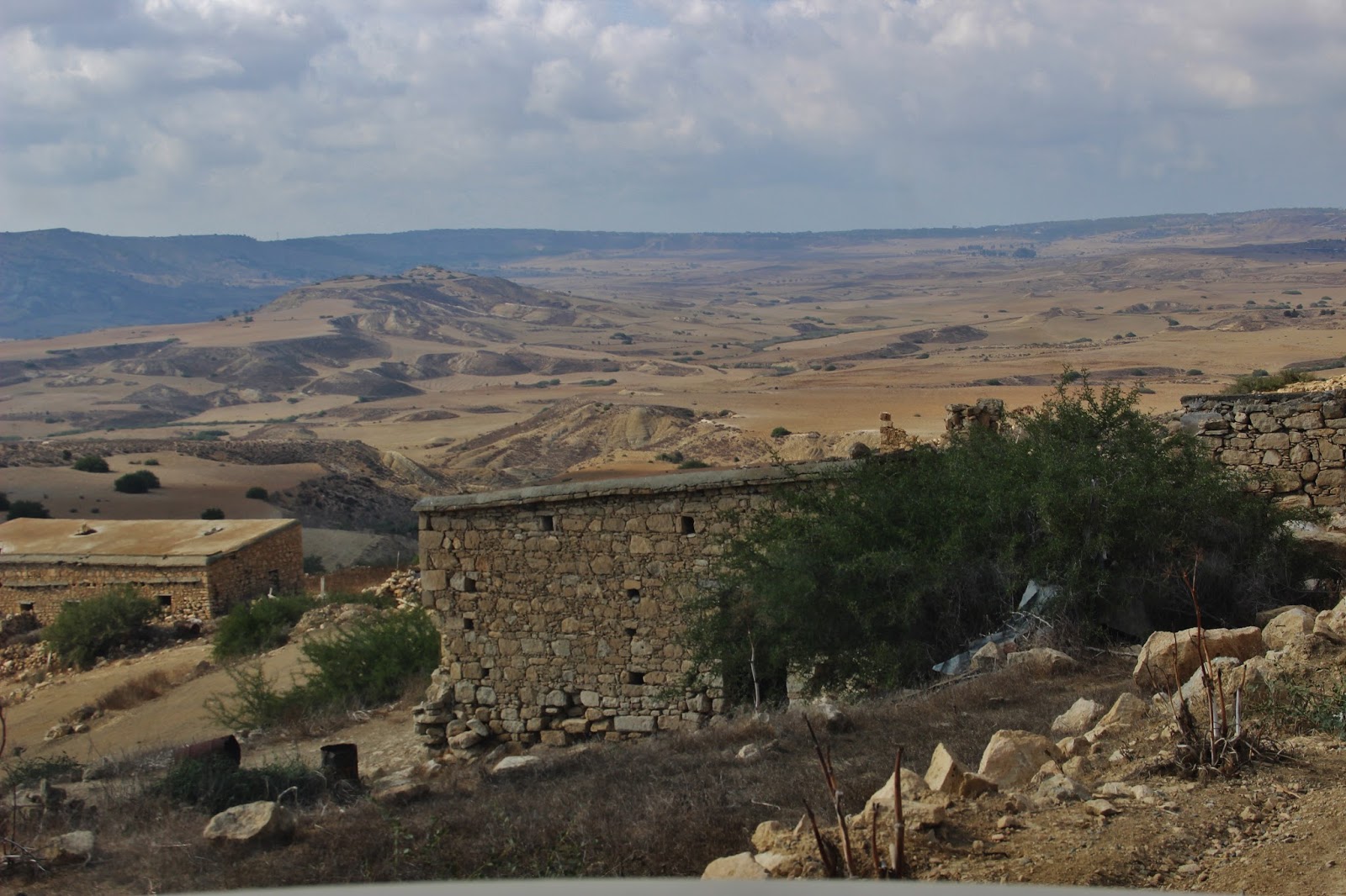 Biodiversity of Cyprus by NGO Protection of the Natural Heritage and ...