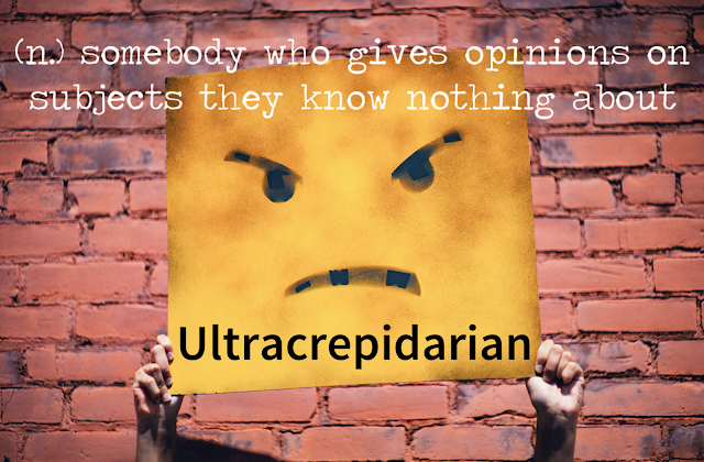 The word is Ultracrepidarian - Peter Noah Thomas