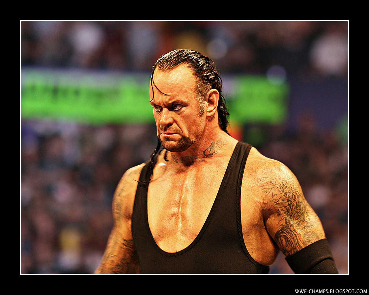 WWE CHAMPS: 'PHENOM' THE UNDERTAKER