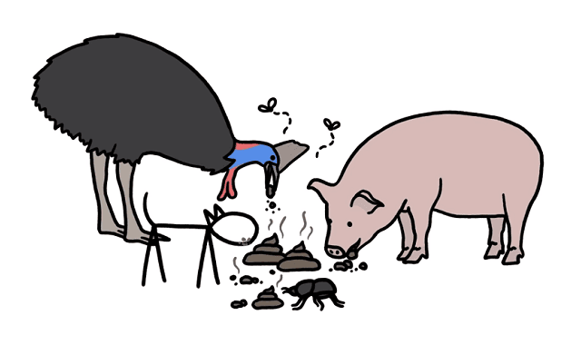 Why Do Some Animals Eat Poop? #Video - Visualistan