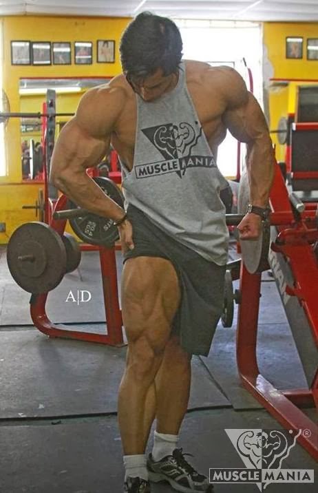 Musclemania: February 2014