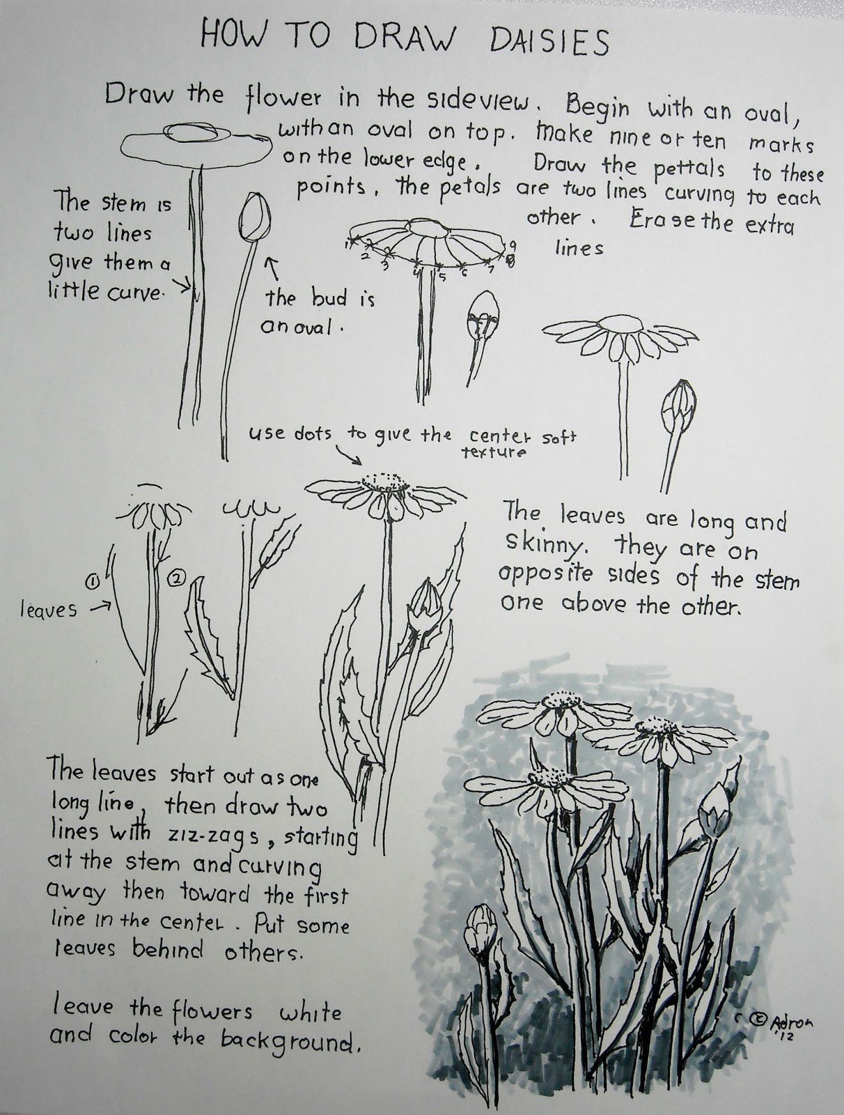 How to Draw Worksheets for The Young Artist: How to Draw Daisies Lesson ...