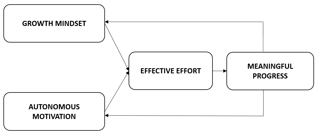 The growth mindset and intrinsic motivation contribute independently to ...