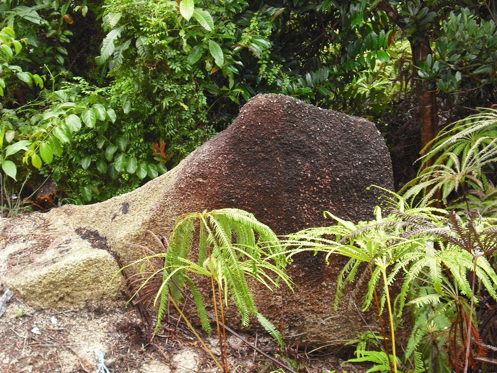 Relatif: Siri 01: Gunung Tebu: Xpdc Kedua - 8.8.2008
