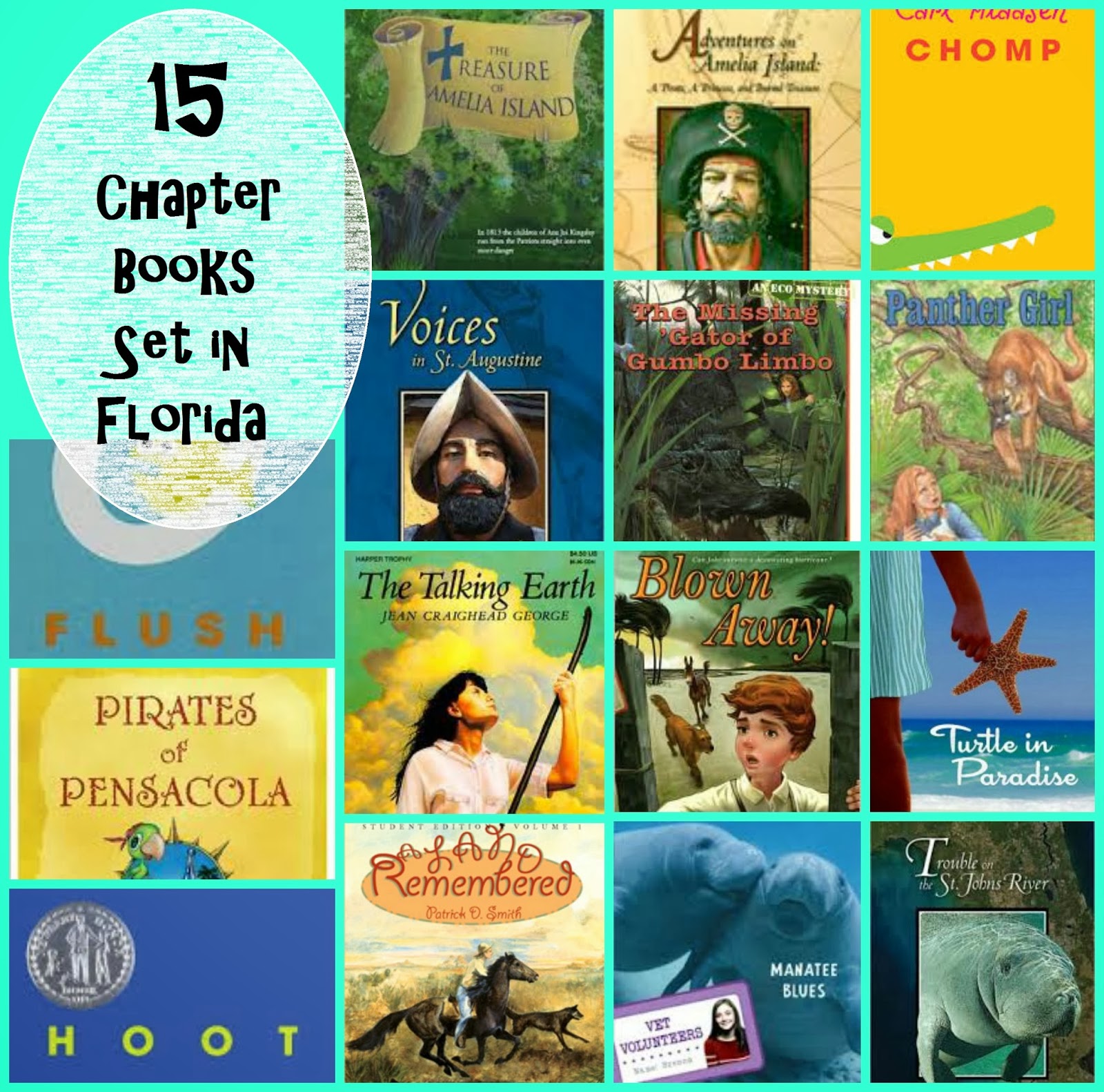 Teaching Star Students 15 Chapter Books Set In Florida For 4th Graders Teaching Star Students 15 Chapter Books Set In Florida For 4th Graders
