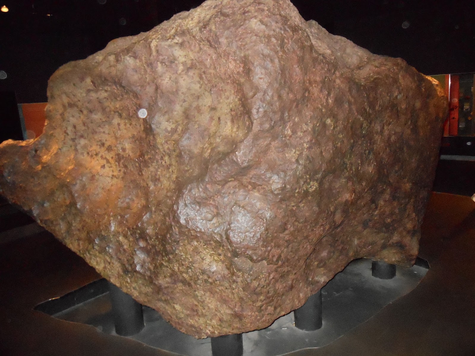 Adventures of a Middle-Aged Drama Queen: American Museum of Natural History