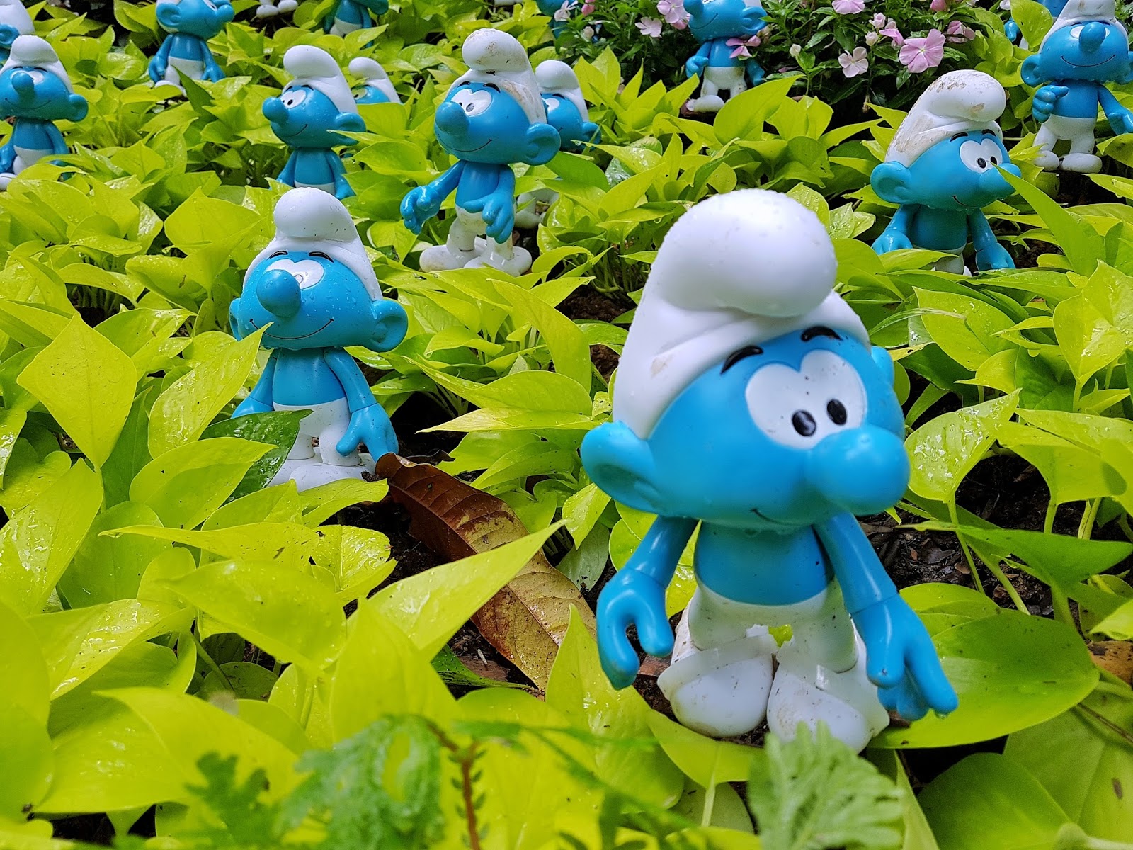 Smurfs Invades Bird Park