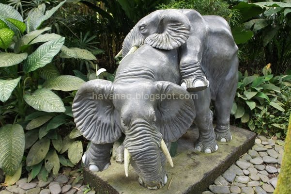 Havana QQ Travel Blog: Sumatran Elephant, Uluwatu, Dreamland & Jimbaran