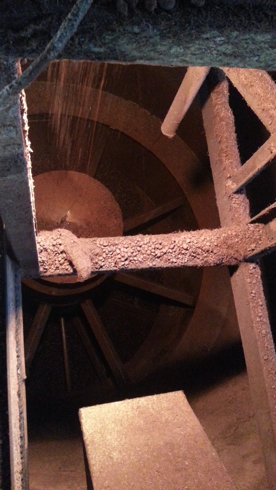 Sharing station: Depericarping station / nut and kernel plant