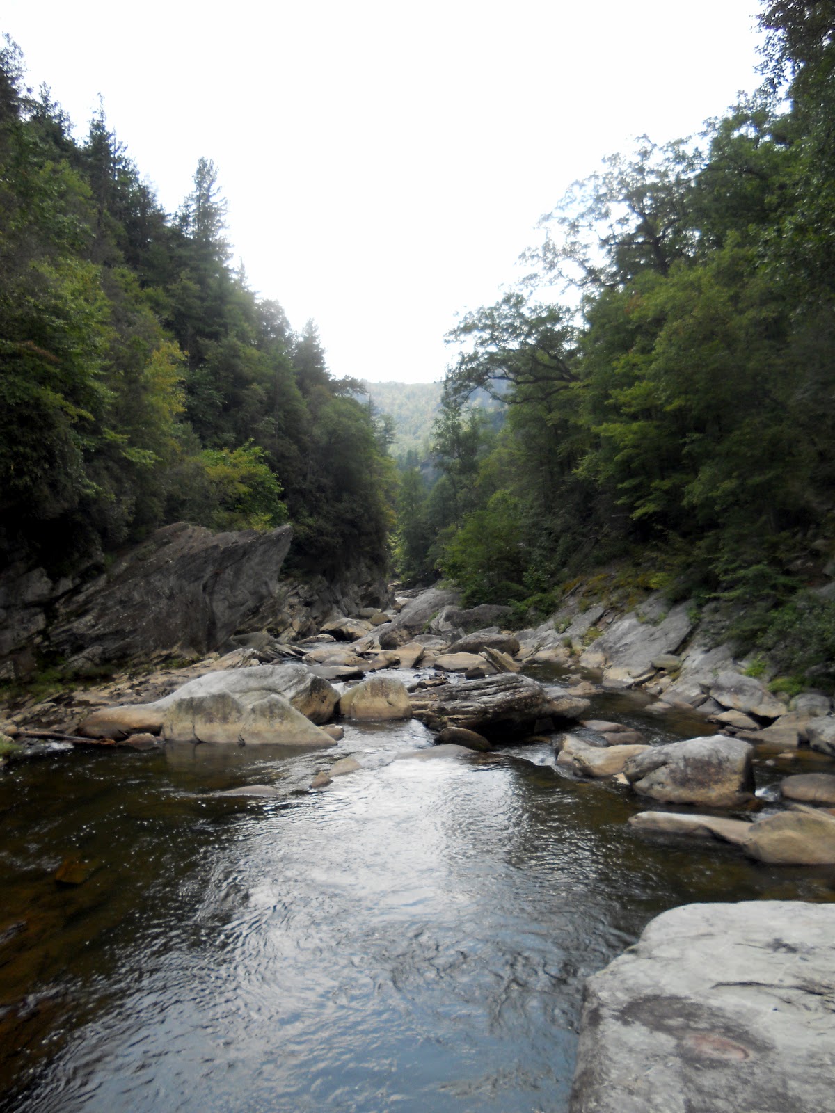 Hiking with a Fat Bald White Guy: Linville Gorge - Spence Ridge ...
