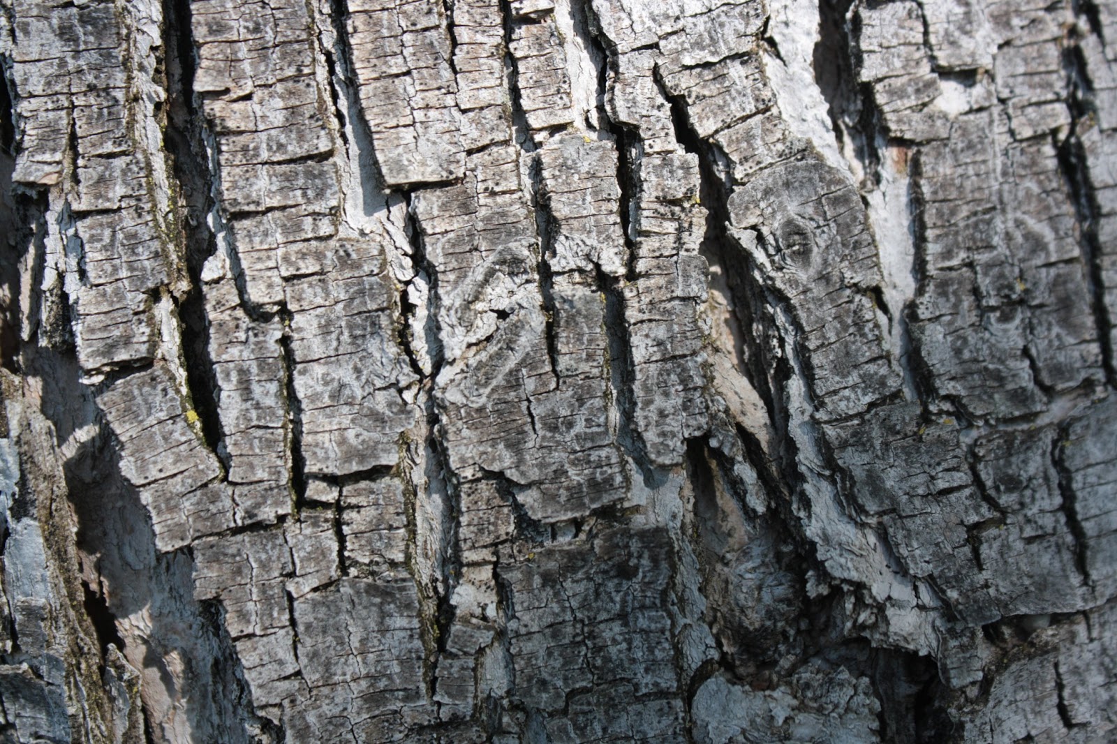 Taylor Ferguson Photography