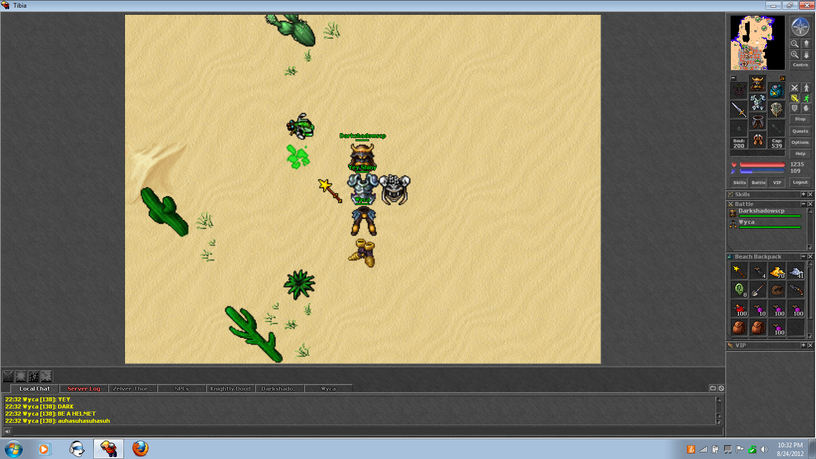 Everyday reviews: Tibia an MMO