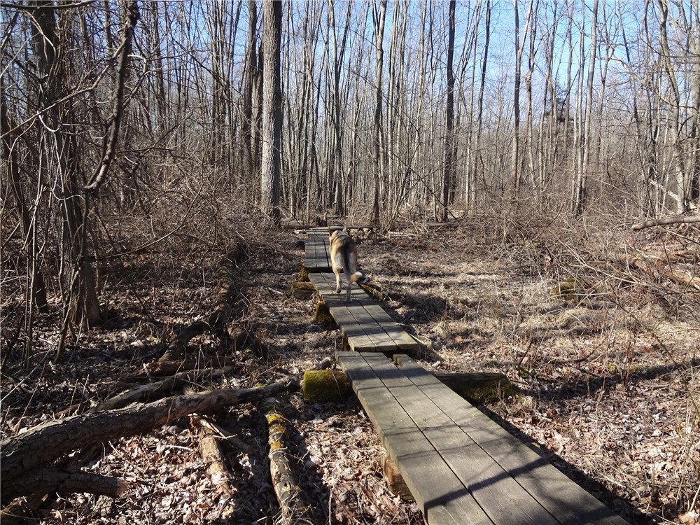 Gone Hikin': Appalachian Trail NJ: Pochuck Mountain to Wallkill River ...