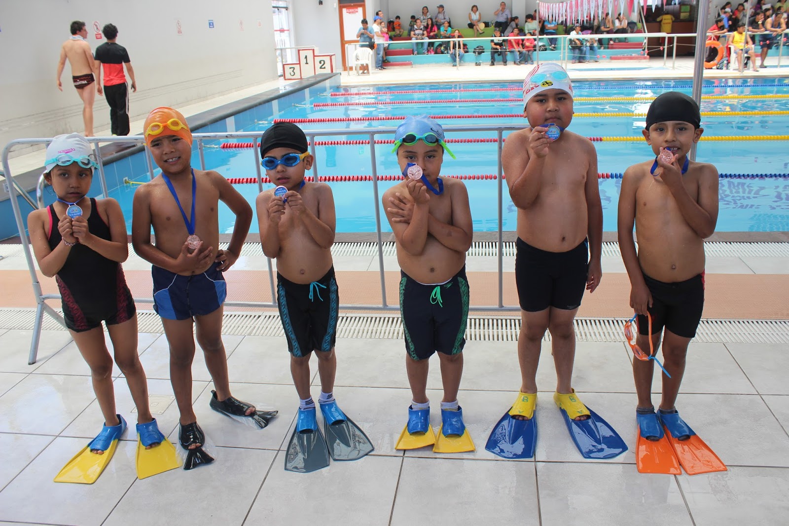 DEPORTES DE AREQUIPA: Nadadores se lucen con aletas (FOTOS)