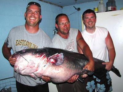 Terrierman's Daily Dose: World Record Blue Catfish Taken in Virginia
