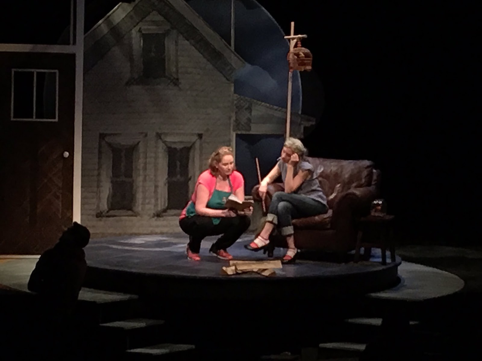 Rosebud Colored Glasses: Resident Company "Snapshot" - Jeany Van Meltebeke