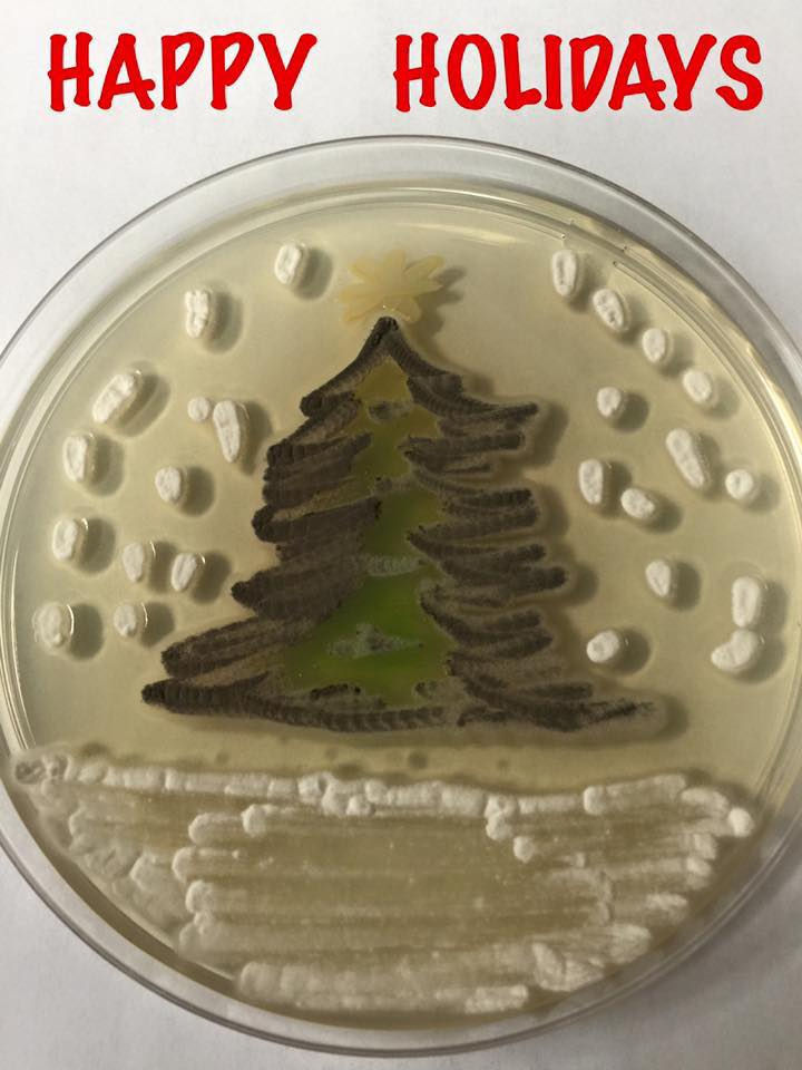 Medical Laboratory and Biomedical Science: 2016