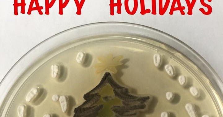 Medical Laboratory and Biomedical Science: Happy Holidays from ...