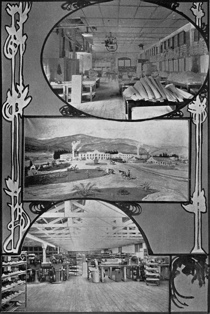 Los Angeles Revisited: Dolgeville in Alhambra, Cal.