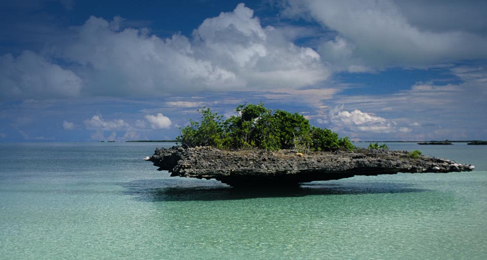 Browse Your World: Aldabra Atoll [SEYCHELLES]