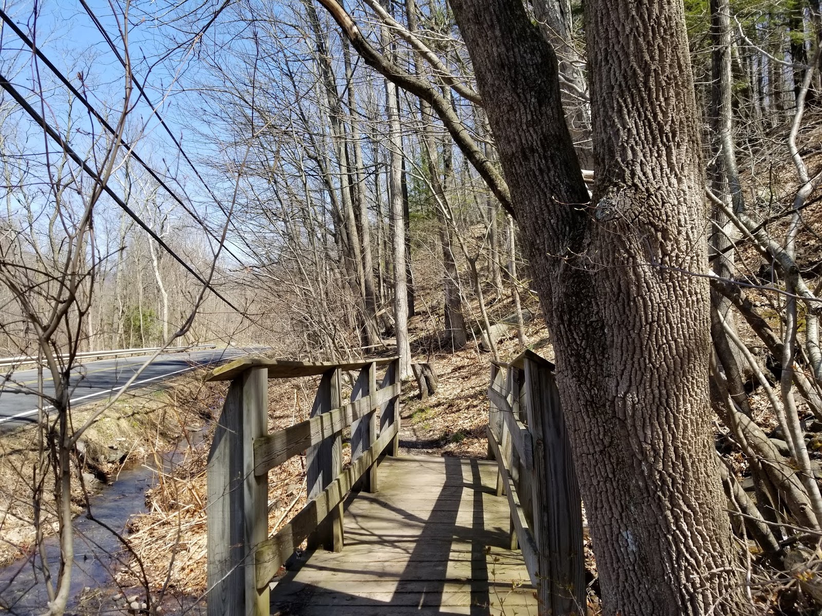 The Albany Hiker: Tramping up Tremper Mountain (Mt. Tremper)