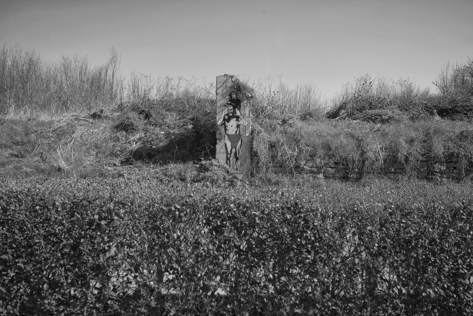 JAIME MARTIN: Tarzán y Chita