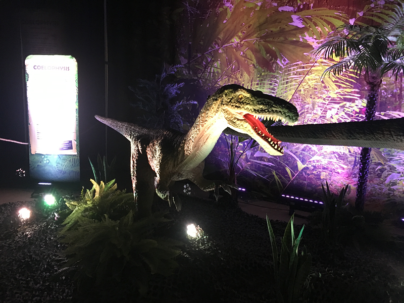 You Are The Roots: discover the dinosaurs unleashed