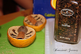 Rare Breed Farms: 5 Days of Homemade Christmas Gifts: Cider Beetles