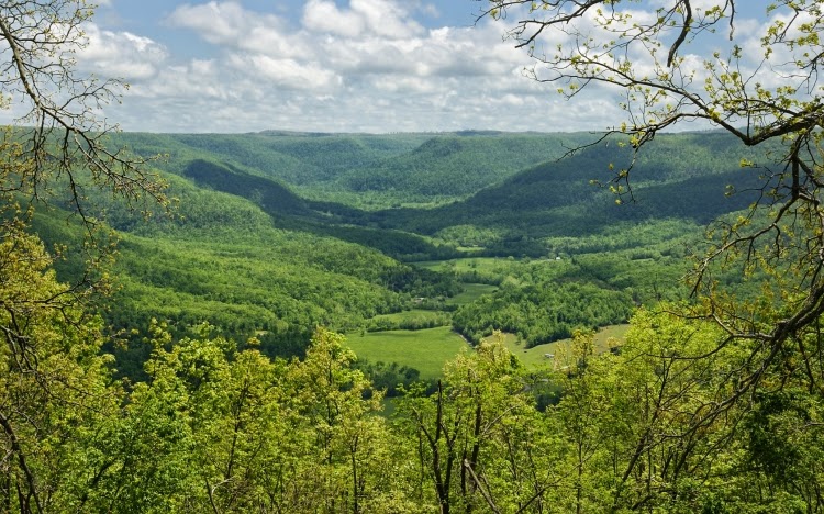 Awakenings: Arkansas: Natural Wonder