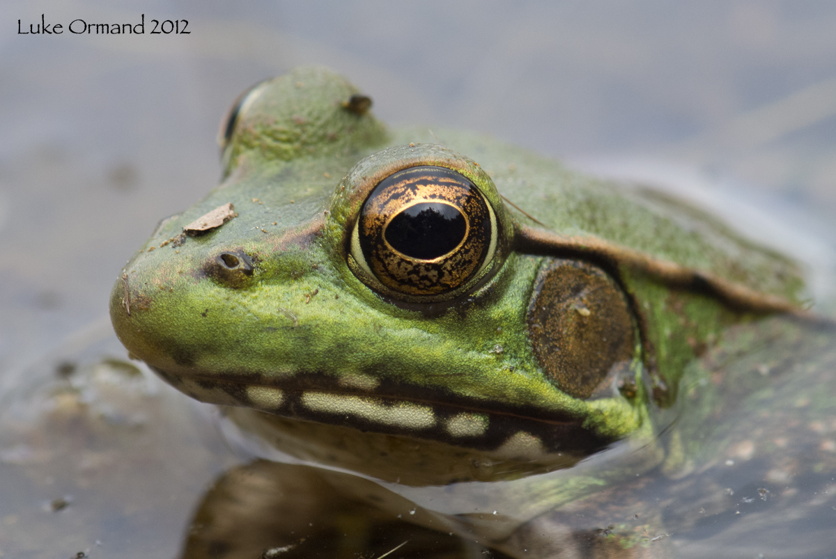 Welcome to. . .: September Birds