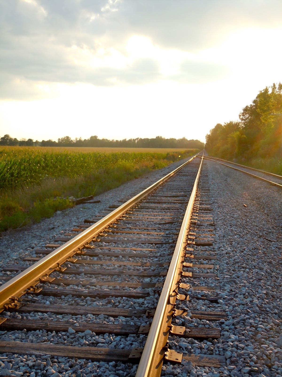 "La vie en...INDIANA!" (Life in Indiana.): Sweetser Switch Trail