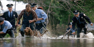 Cîhana Filma: The Shawshank Redemption (1994)