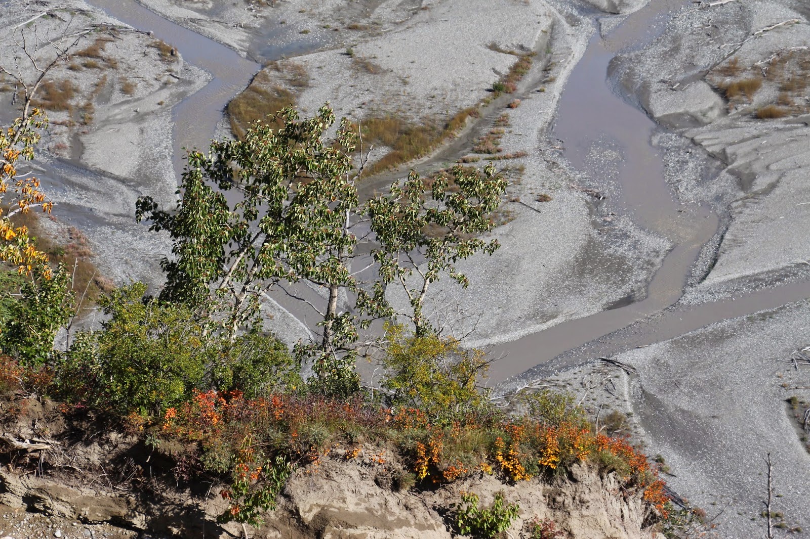 True Stories, Honest Lies: September 2014