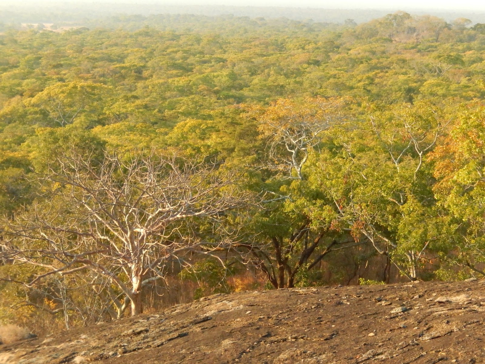 Leo in Malawi: Kasungu National Park - Black Rock - A view from the rock