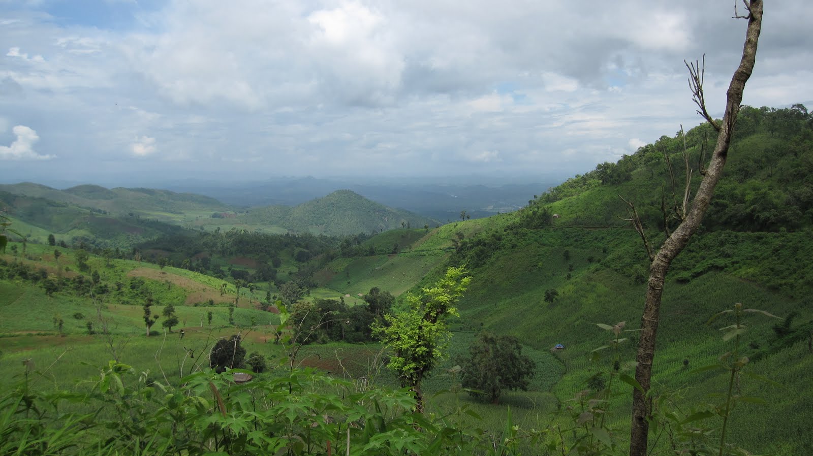 SIHTKOHT: BIRMA, AASTA: 2011: Palaungide poole peole