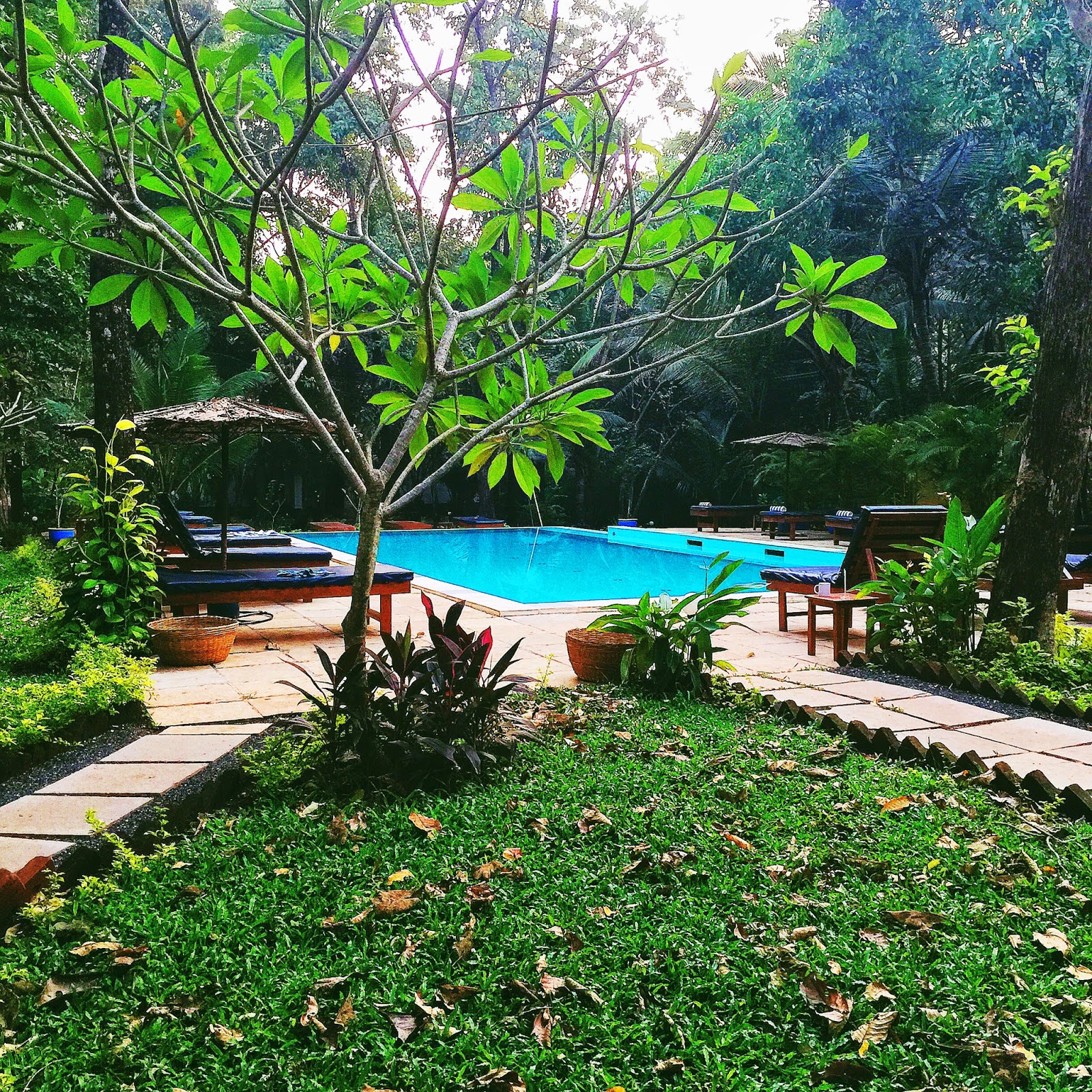 PEACE LOVE YOGA: Purple Valley Highlights - Goa, India