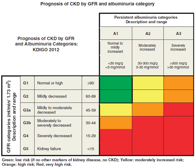 GUIAS AMERICANAS 2013: GUIAS KDIGO DE ENFERMEDAD RENAL CRÓNICA ...