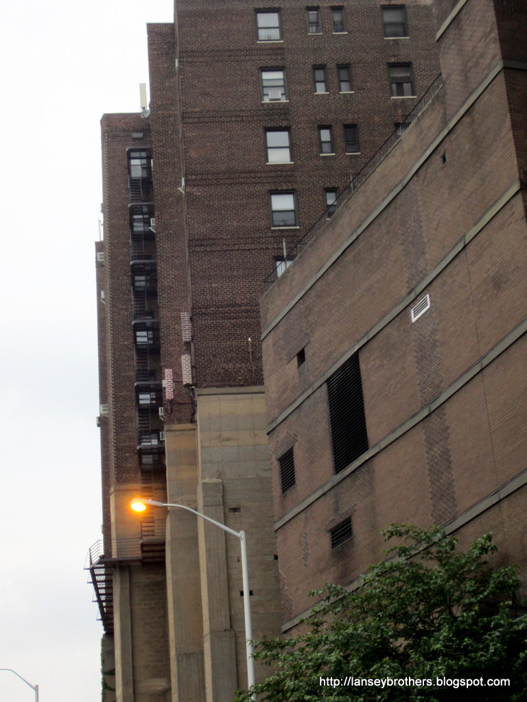 The Lansey Brothers' Blog: Cell phone tower camouflage