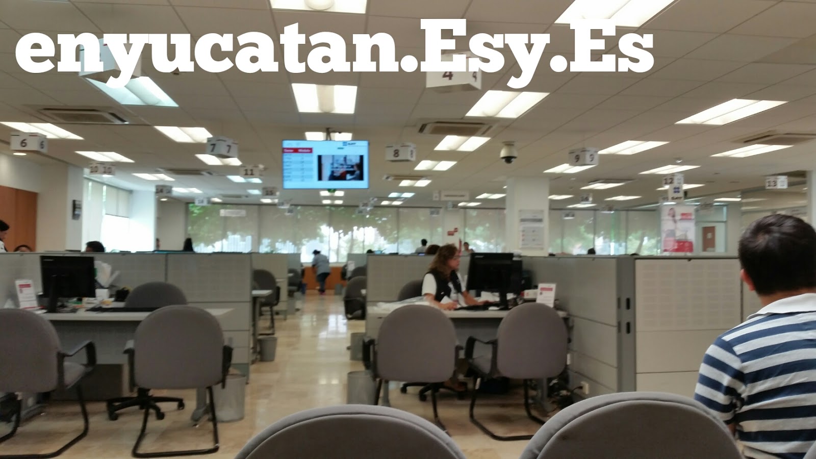 El sat merida yucatan - Yucatan work