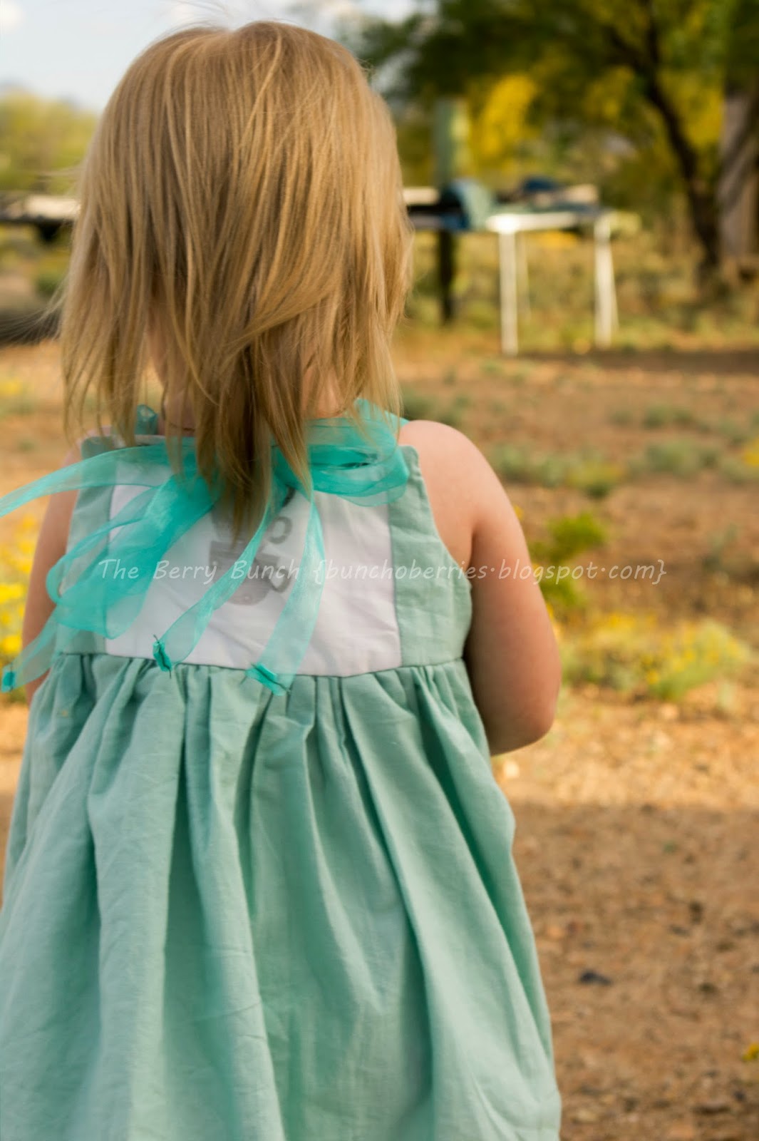 The Berry Bunch: Tea Party Dress: GYCT Designs Firecracker