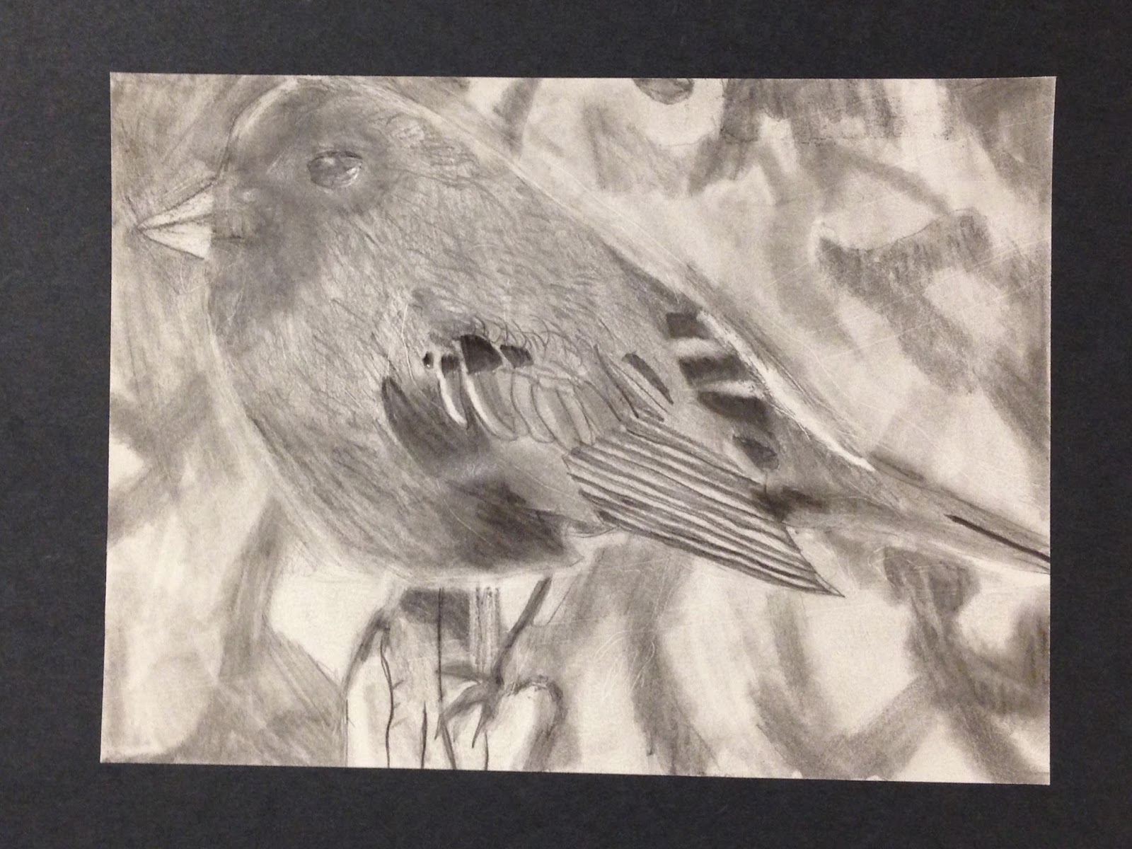 Art Alley: Drawing Rendering: 7th Graders Learn to See