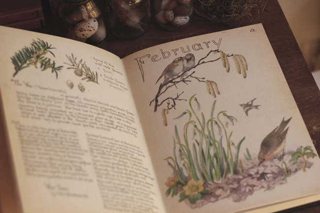 Ilustradoras ♥ Edith Holden